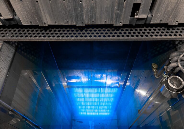 New article: The critical production of cobalt-60 in nuclear reactors ...