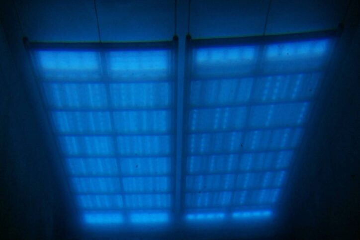 International Irradiation Assocation (iia) - Home