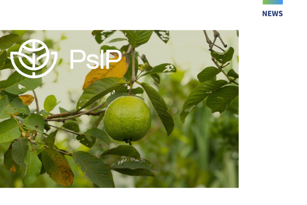 Phytosanitary Irradiation Platform Webinar Recordings Available Now ...