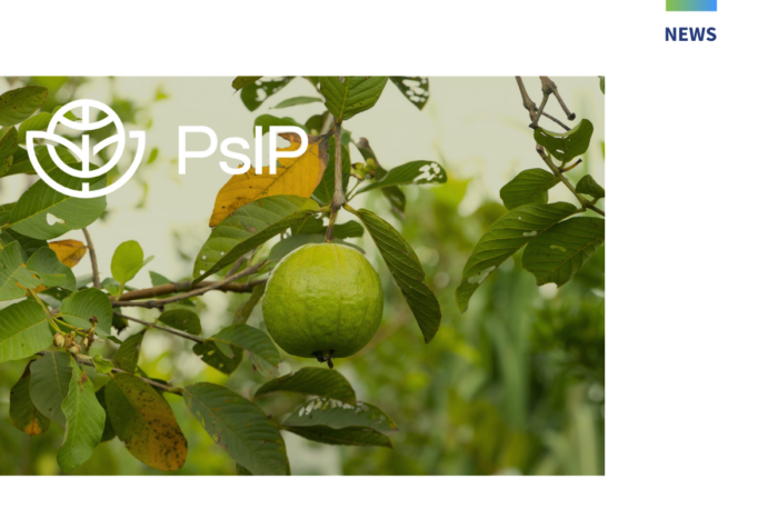 Phytosanitary Irradiation Platform Webinar Recordings Available Now ...